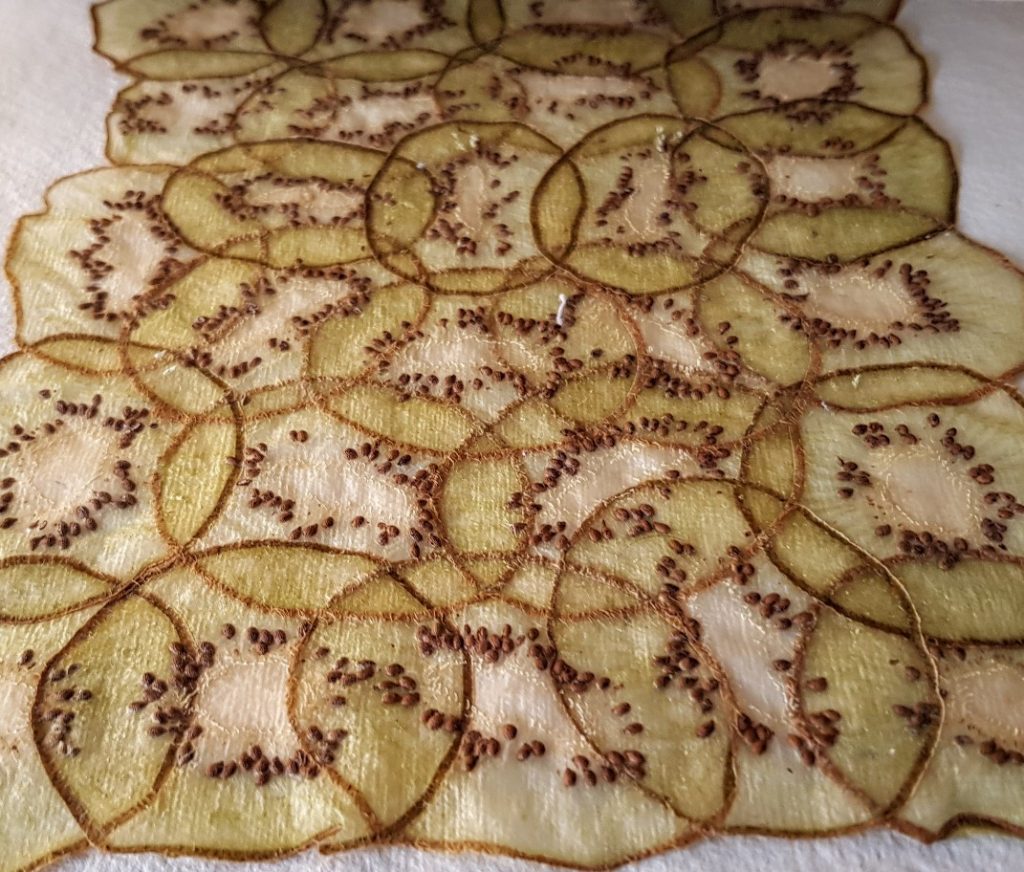 Vegetable paper (3) - Book and Paper Arts